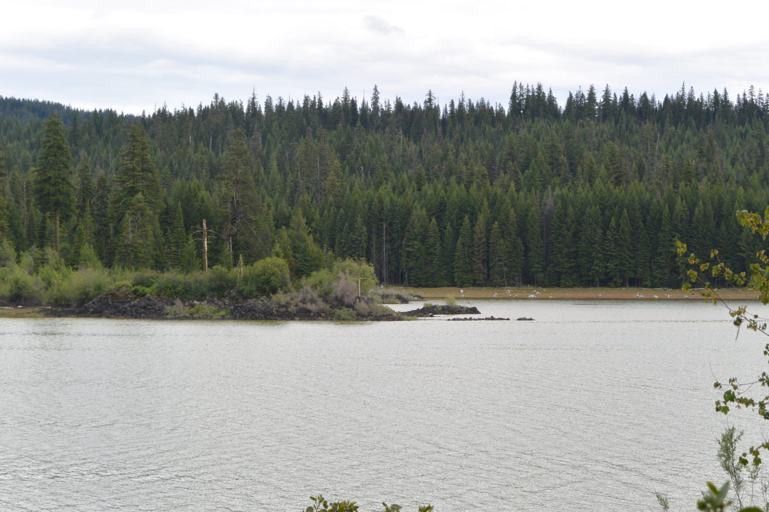 About - Fish Lake Resort